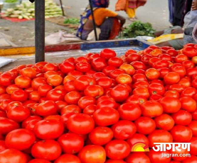 Tomato Price Hike: टमाटर ने छुड़ाए लोगों के पसीने, दो महीने बाद भी क्‍यों जारी है दामों में उछाल ...